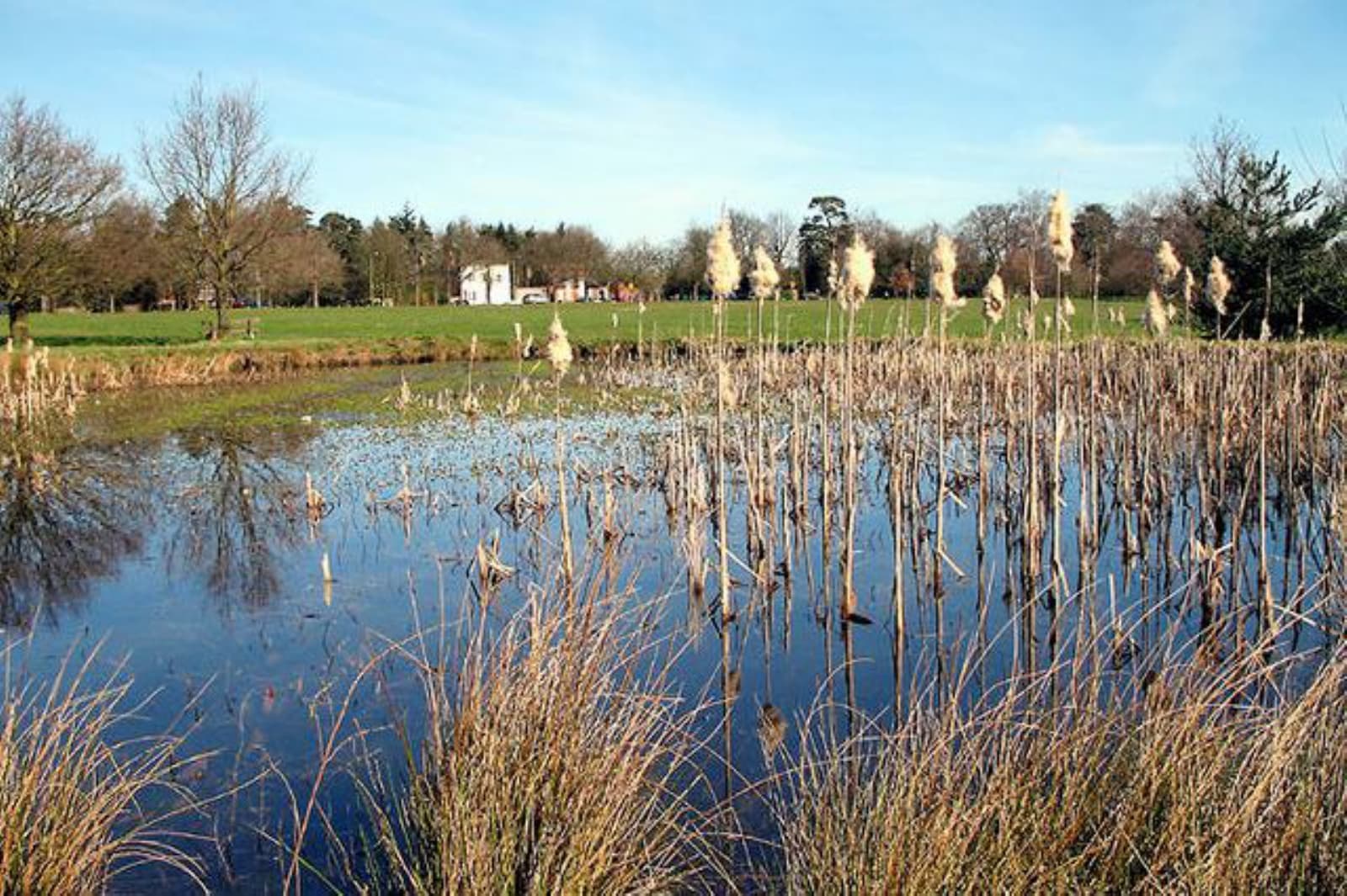 Living in Hadley Wood - Area Guide | Foxtons