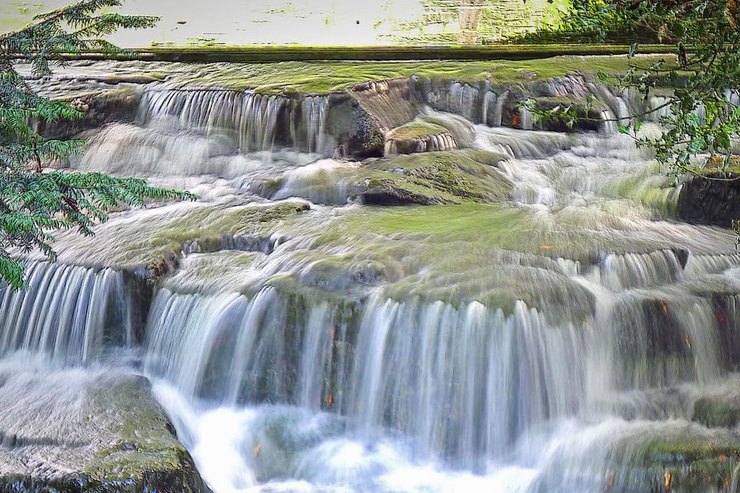 Living in Hackbridge - Area Guide | Foxtons