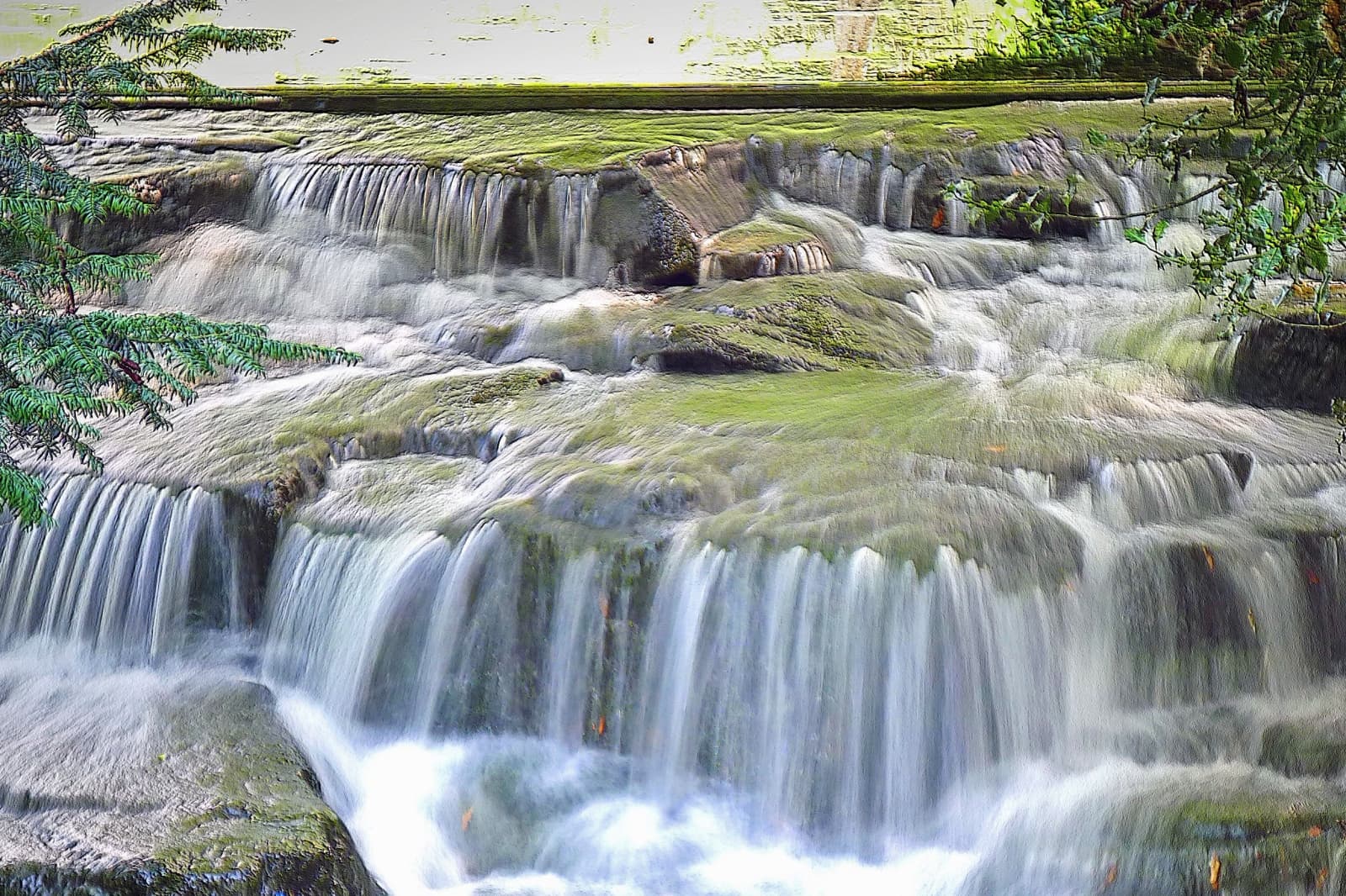 Living in Hackbridge - Area Guide | Foxtons