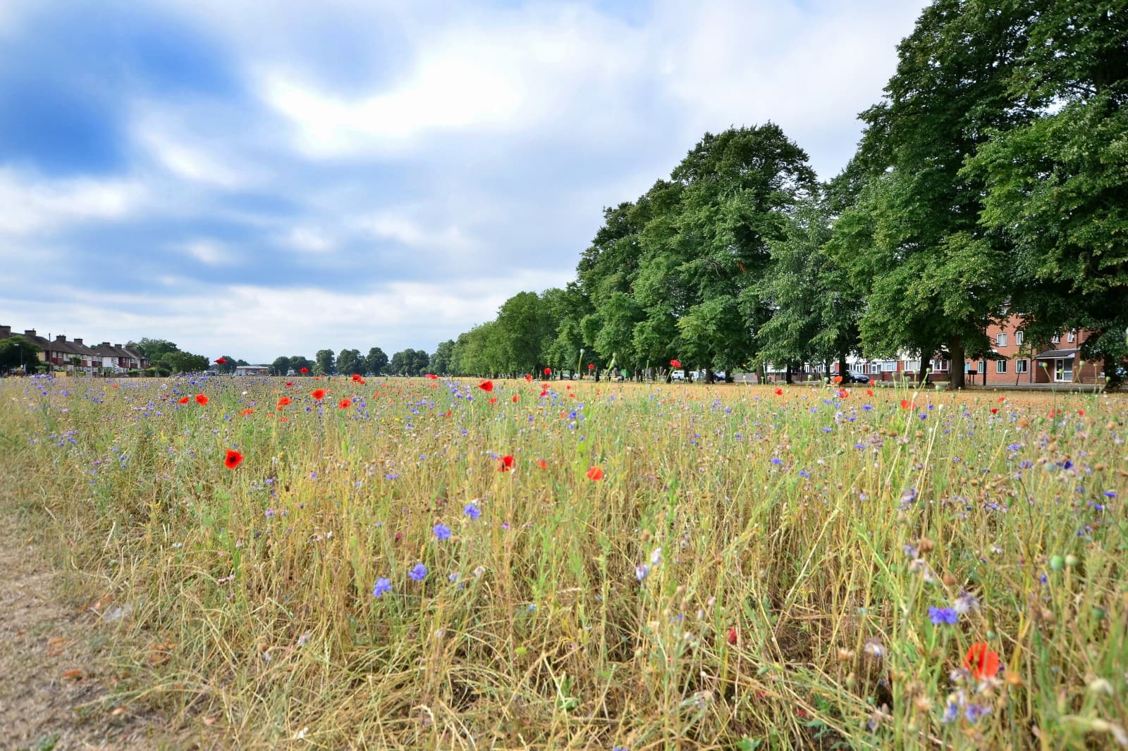 Living in Tooting Bec - Area Guide | Foxtons