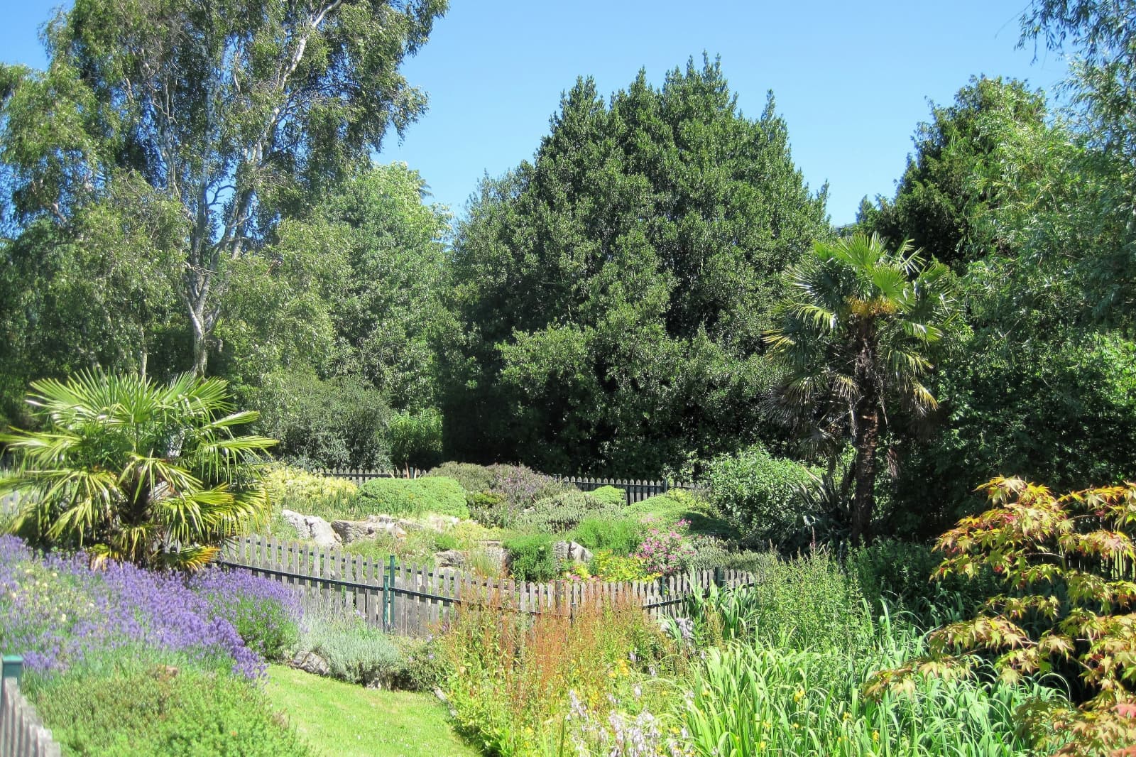 Living in New Barnet - Area Guide | Foxtons