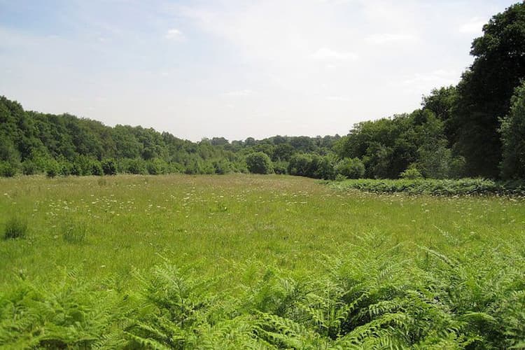 Living in Nw9 - Area Guide | Foxtons