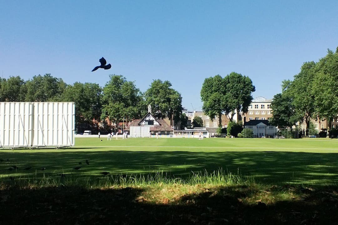 Living in Sw1 - Area Guide | Foxtons