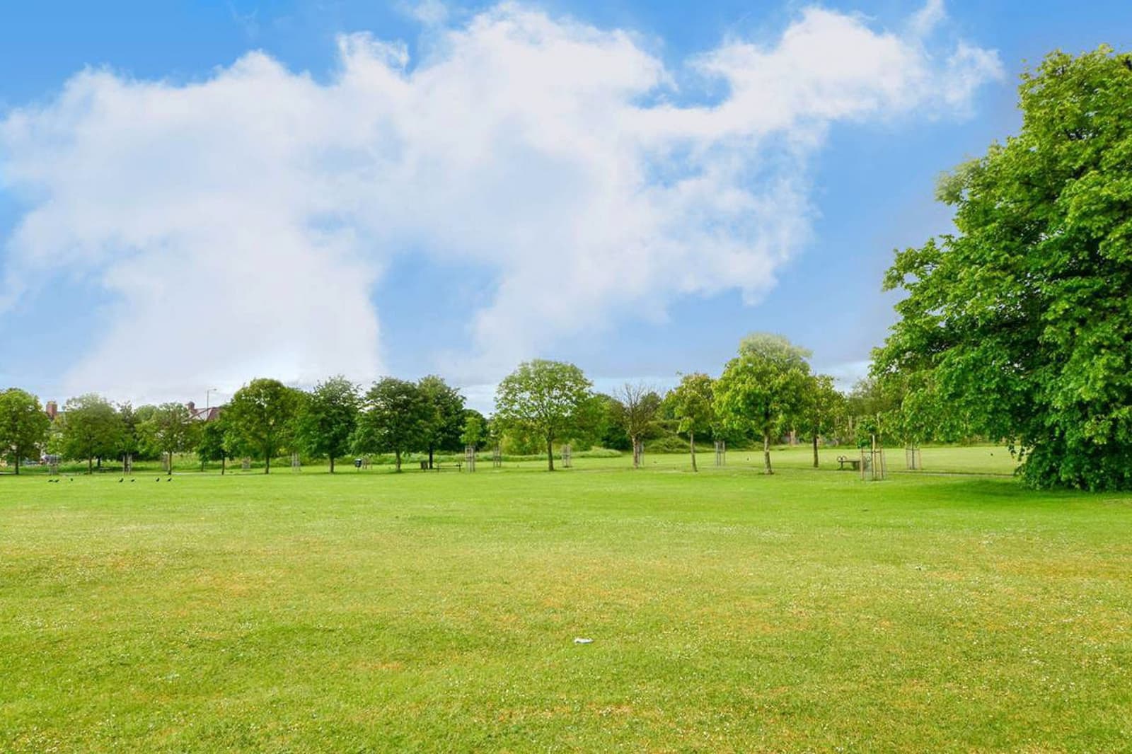 Living in Hackbridge - Area Guide | Foxtons