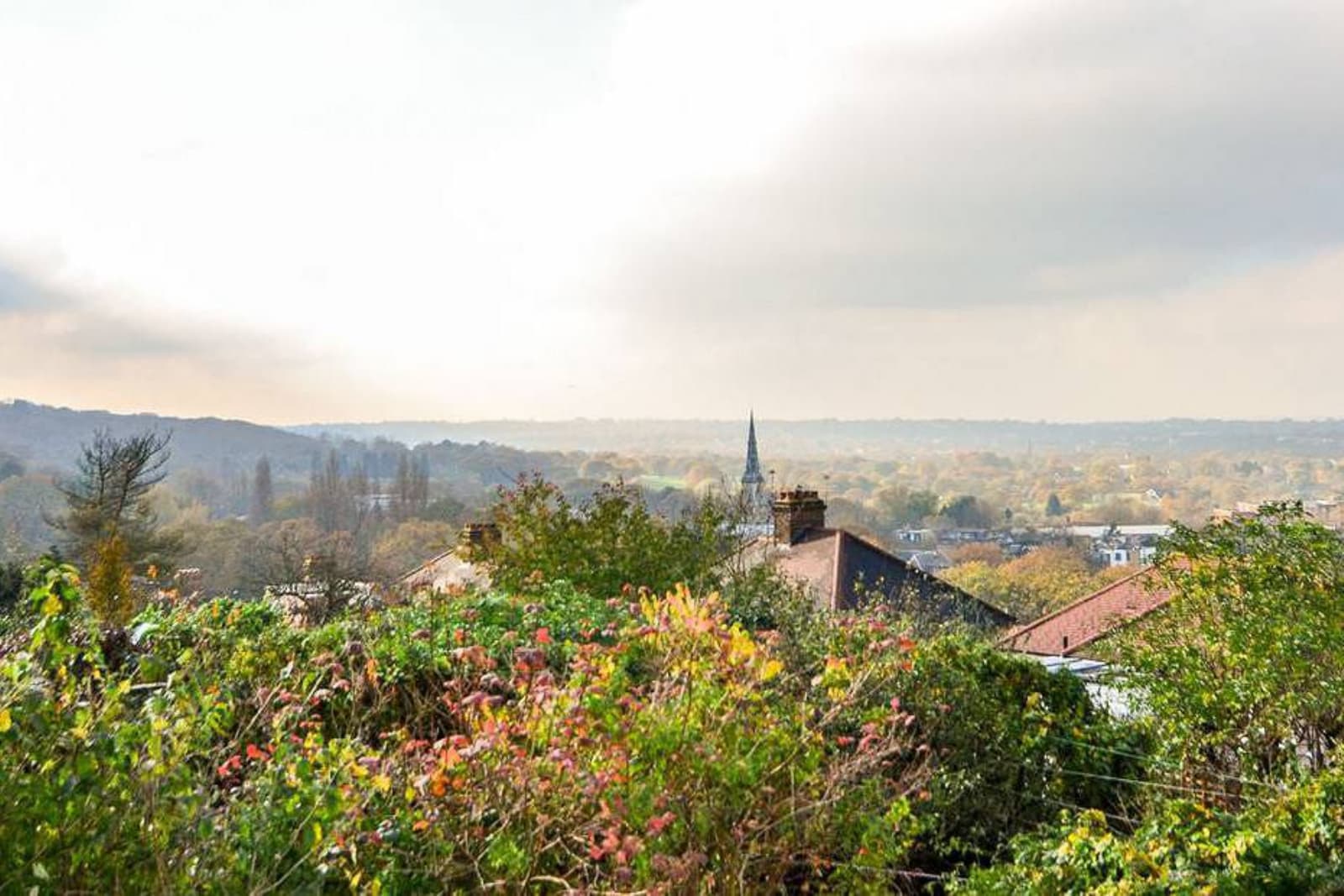 Living in Se26 - Area Guide | Foxtons