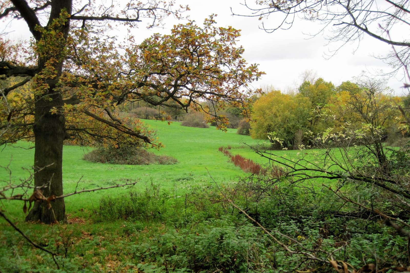 Living in Nw7 - Area Guide | Foxtons